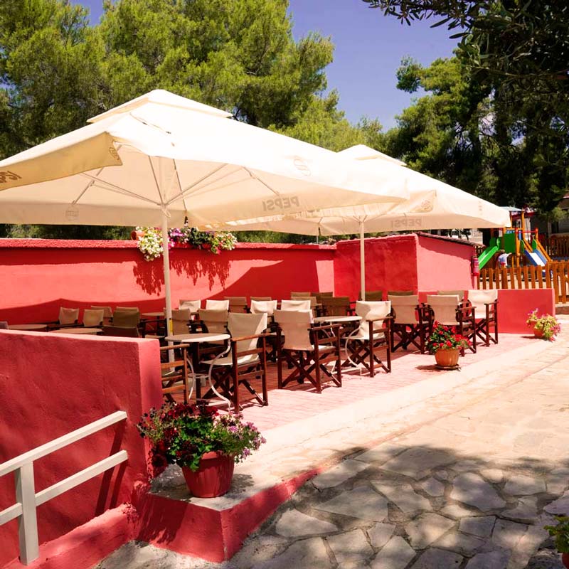Scala Village | Beachfront Camping & Studios in Halkidiki